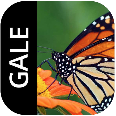 ZION – Software Experts